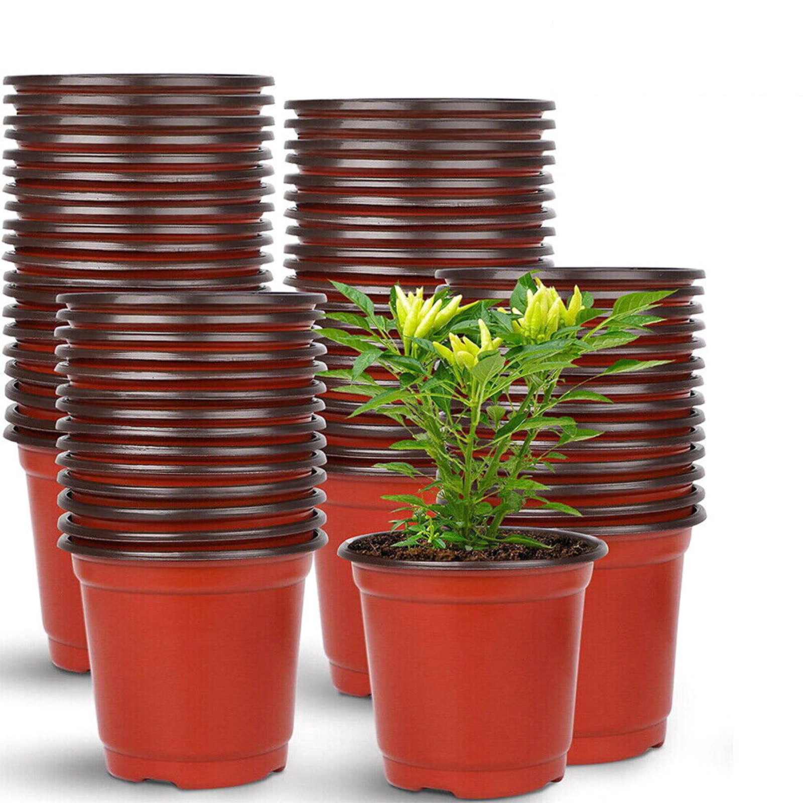 Red Plant Pots for Nursery Seedlings & Garden Growth – Memory Tech
