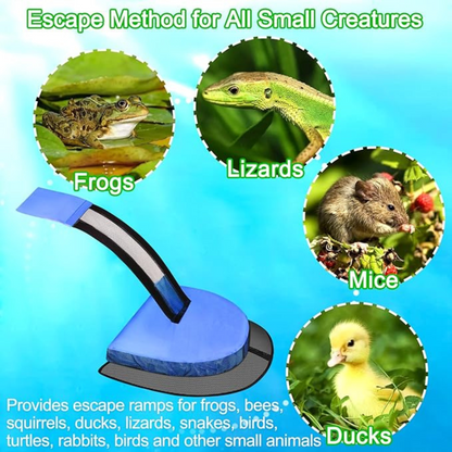 Swimline Pool Critter Rescue Ramp - Save Animals with Frog Log – Memory ...