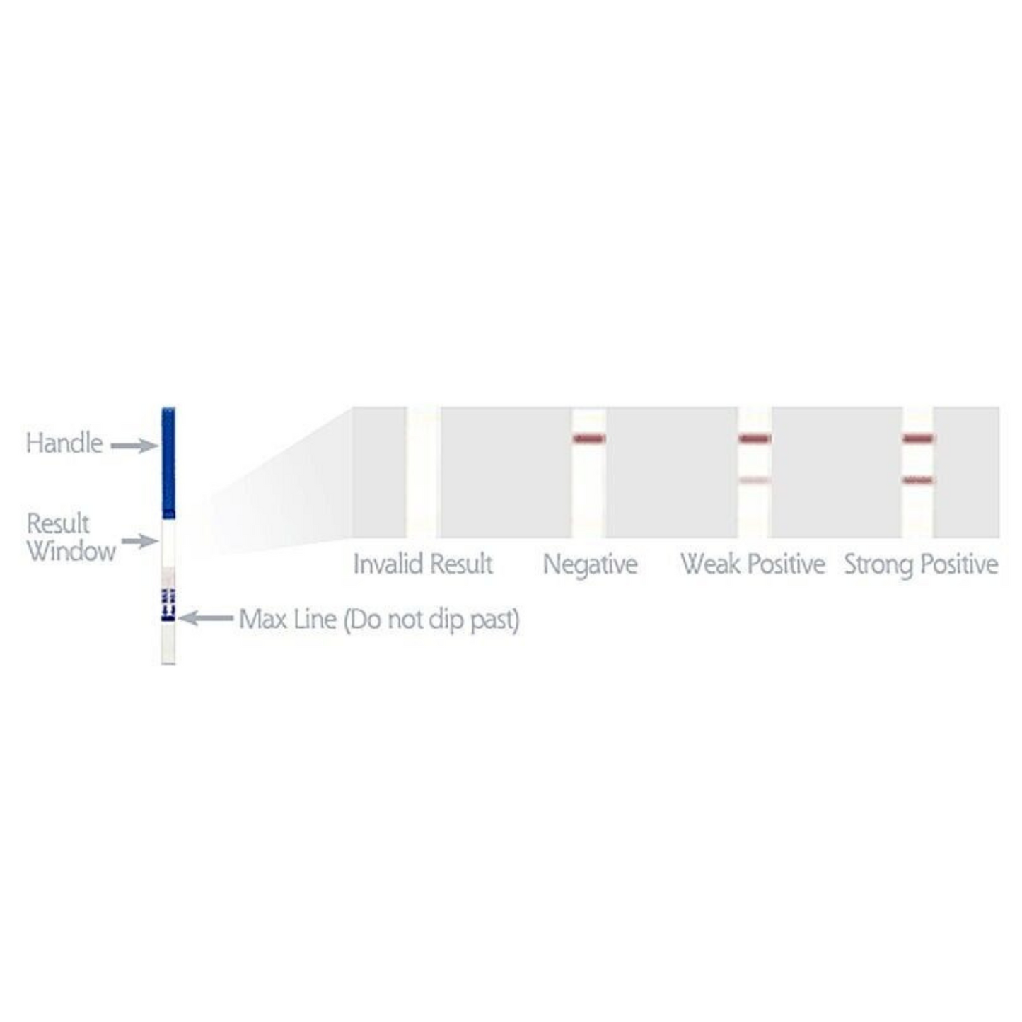 60 LH Ovulation Tests + 20 hCG Pregnancy Strips - Fertility OPK Kit ...